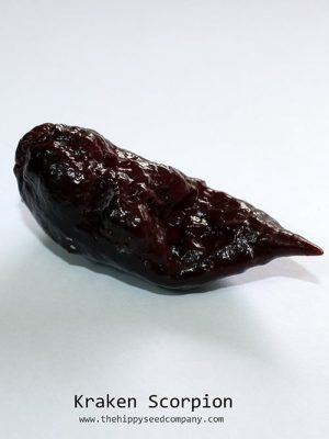 Kraken Scorpion - The Hippy Seed Company
